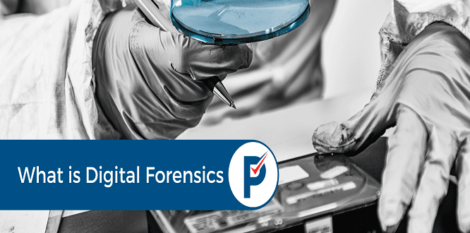 What is Digital Forensics and Why Is It Important?