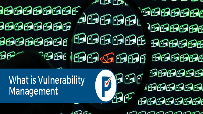 What is Vulnerability Management & How to Implement it in Your Business - Proven Data
