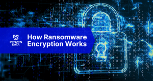 How Ransomware Encryption Works - Proven Data